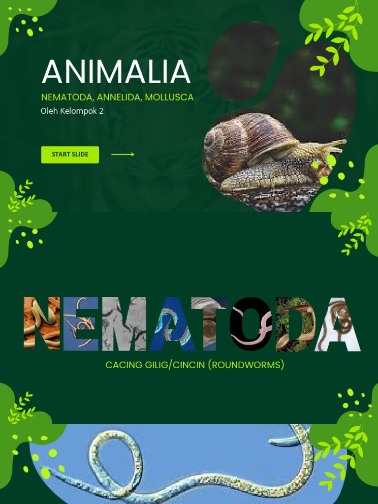 Perbandingan Nematoda dan Annelida | PDF