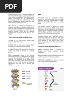 Comparison Chart: DNA, or Deoxyribonucleic Acid, Is Like A Blueprint of ...
