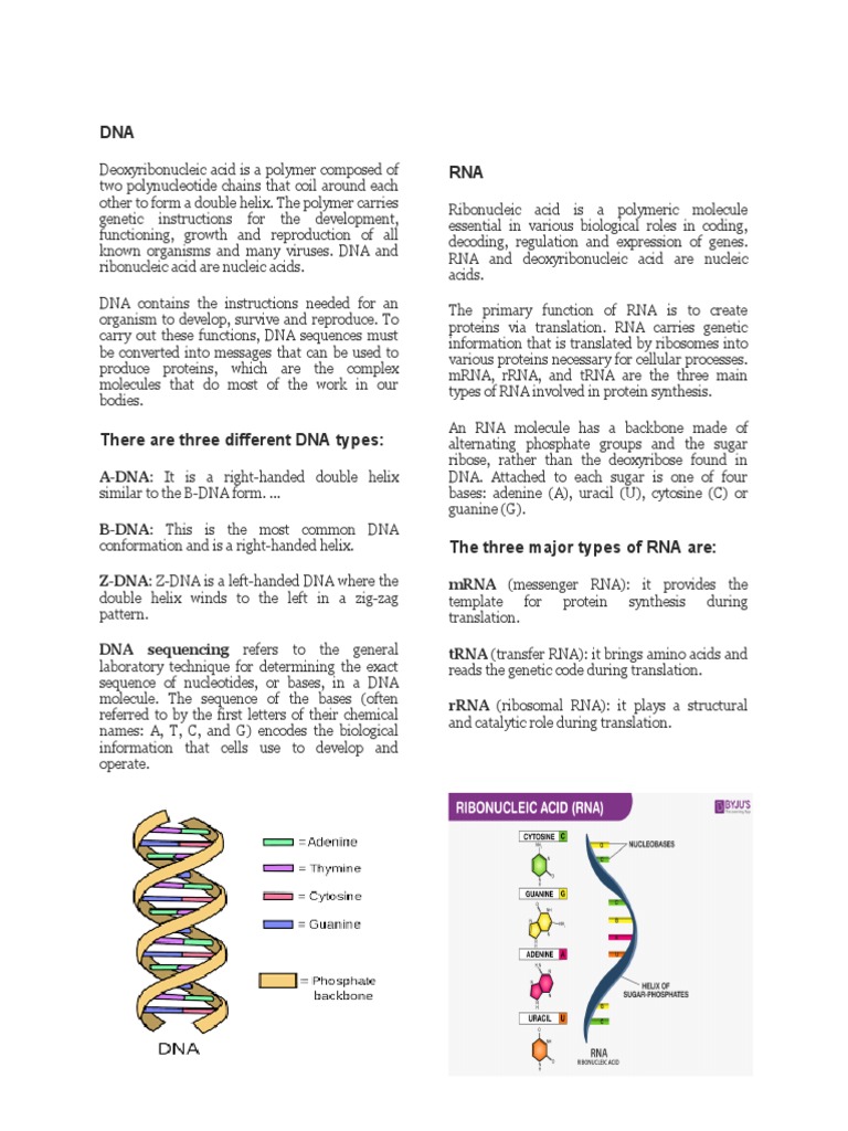 Dna Rna | PDF | Rna | Translation (Biology)