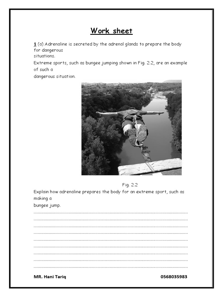 Biology Worksheet IGCSE | PDF | Homeostasis | Eye