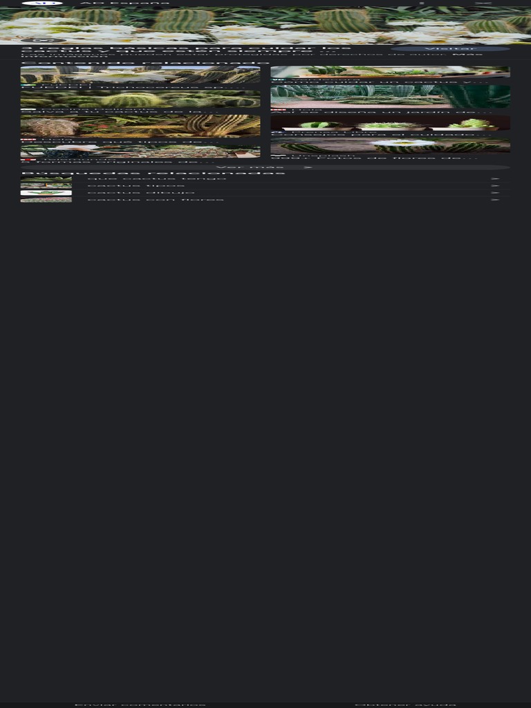 3 Reglas Básicas para Cuidar Los Cactus y Que Estén Siempre .. | PDF