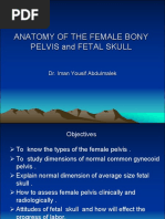 AMS Guide To Equivalent HRT Doses | PDF | Endocrinology | Sexual Anatomy