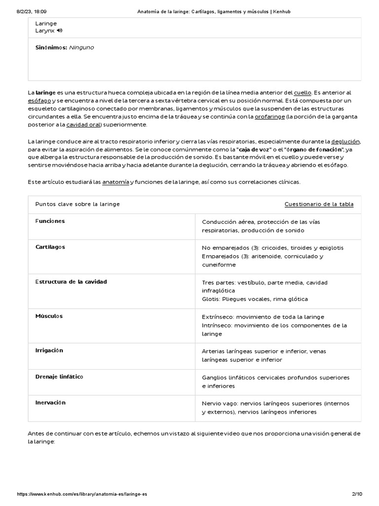 Anatomía de La Laringe - Cartílagos, Ligamentos y Músculos - Kenhub ...