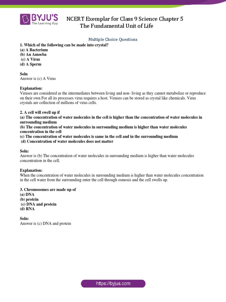 NCERT Exemplar Solution Class 9 Chapter 5 | PDF | Endoplasmic Reticulum ...