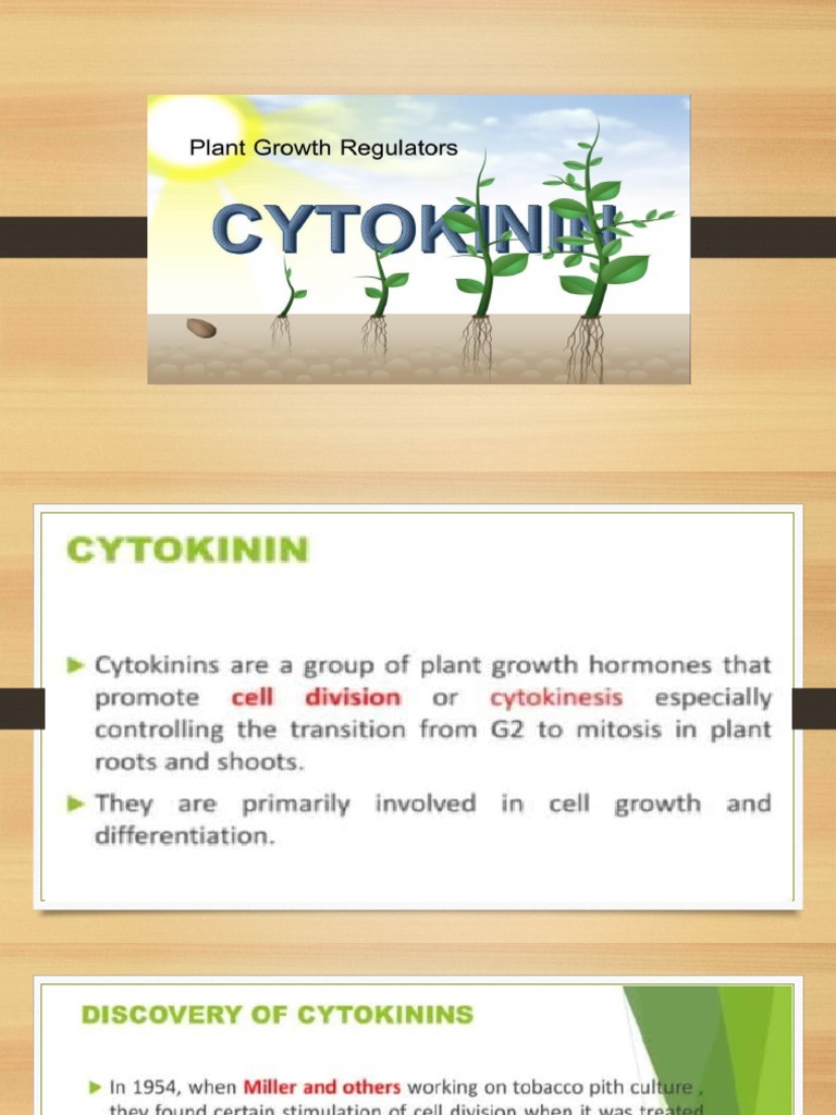 Cytokinin | PDF