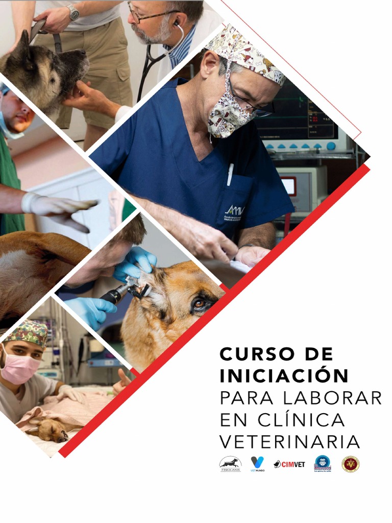 Curso de Iniciación para Laborar en Clínica Veterinaria | PDF