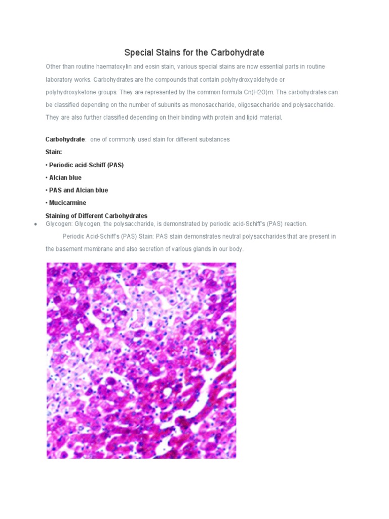 Special Stains For The Carbohydrate | PDF | Staining | Histology