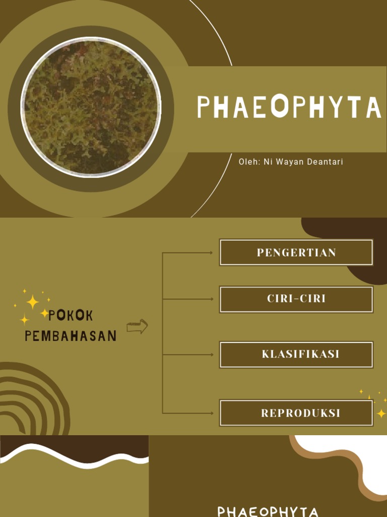 007 - Ni Wayan Deantari - PHAEOPHYTA | PDF