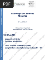 Radioanatomie Cheville-Pied | PDF | Pied | Système squelettique