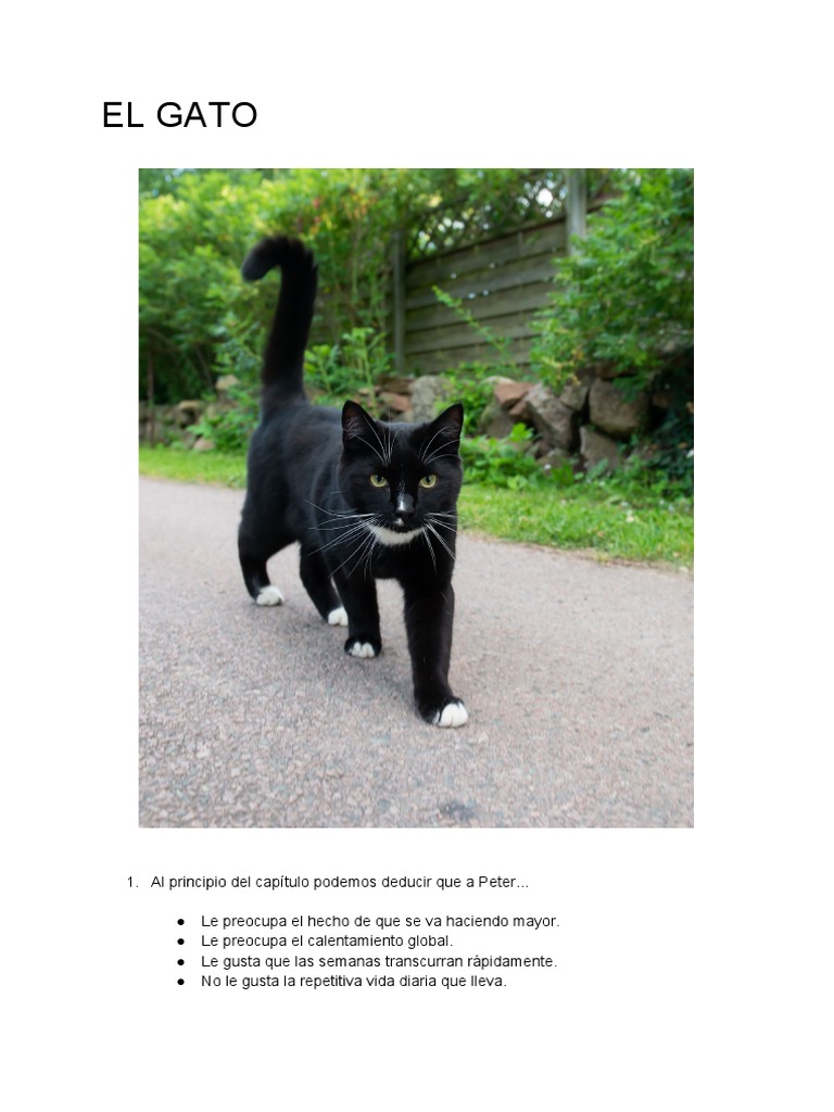 En Las Nubes - 02 El Gato | PDF | Lingüística