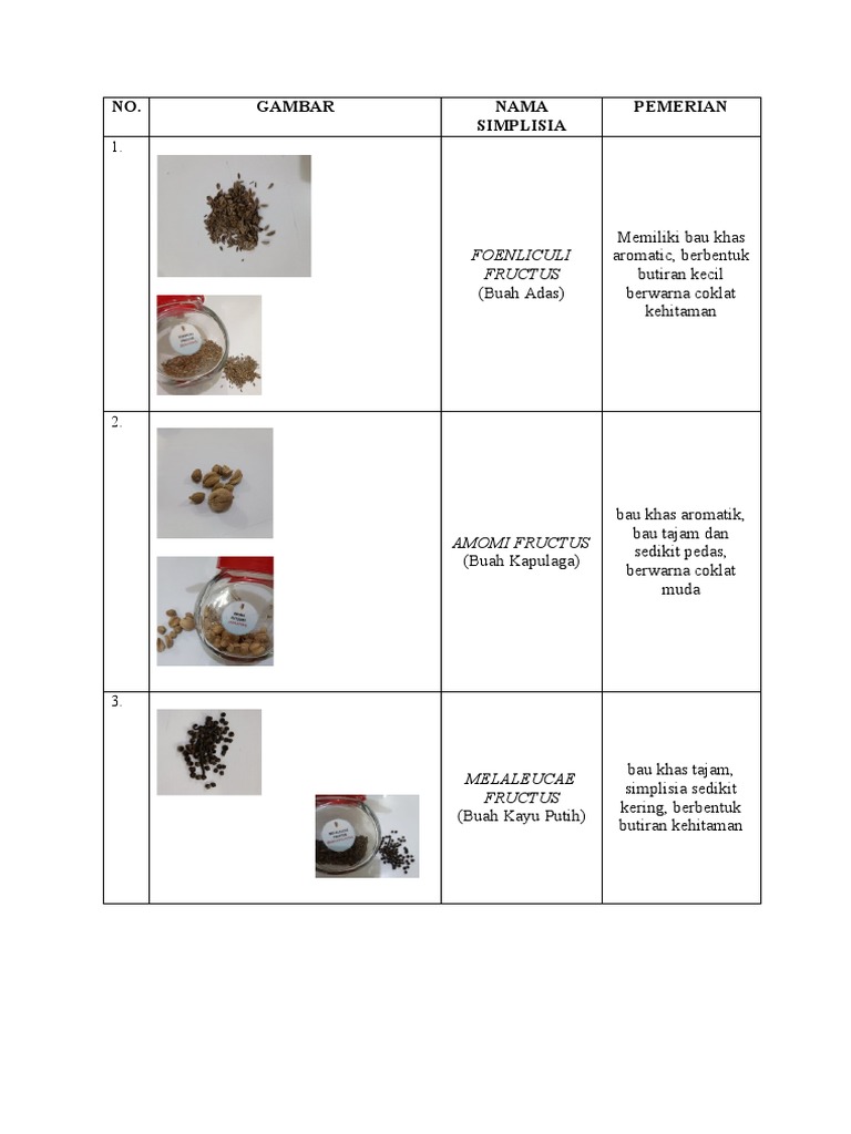 Simplisia Fructus Kel.4 | PDF