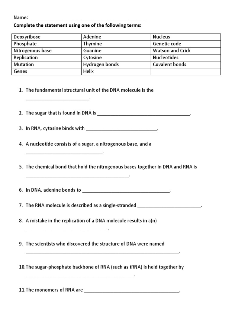 A Comparison of DNA and RNA Worksheet | PDF | Rna | Dna