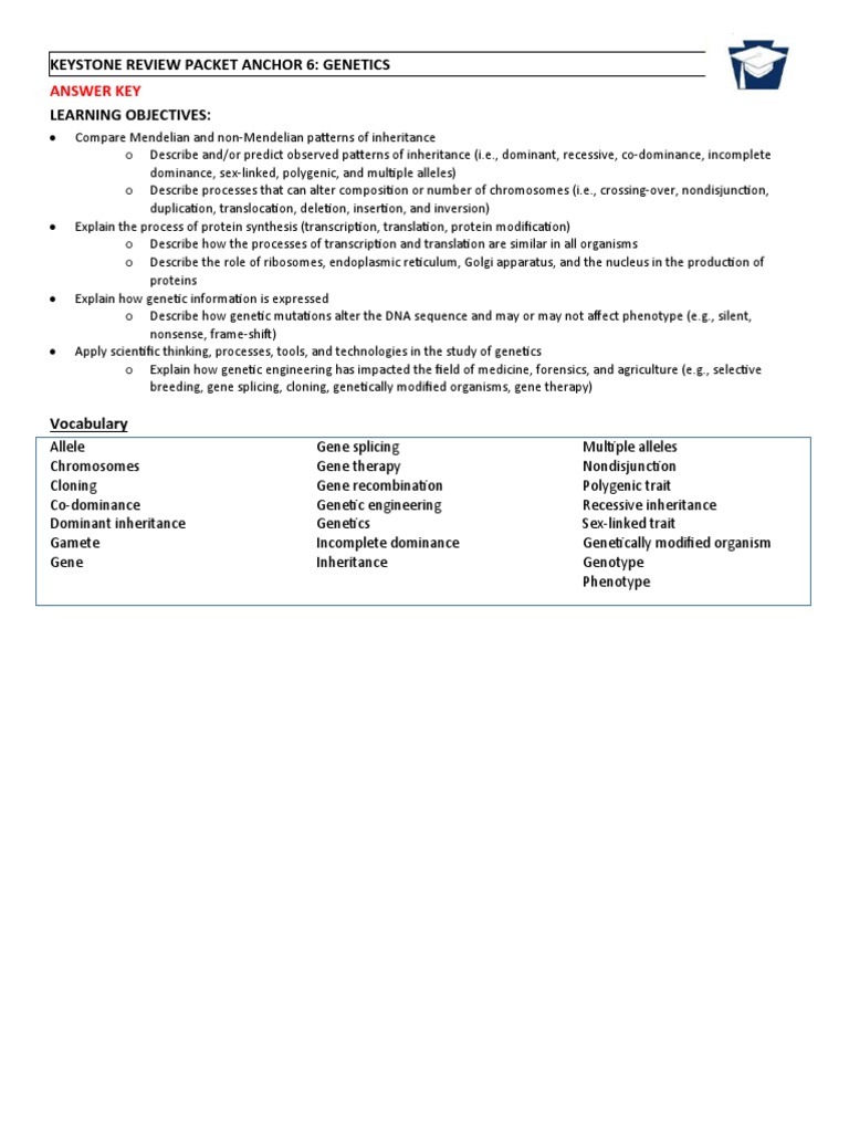 Keystone Review Packet Anchor 6 - Answer Key | PDF | Translation ...