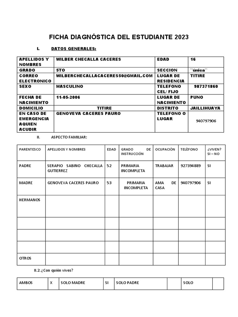 Ficha Diagnóstica Del Estudiante 2022 | PDF | Violencia doméstica | Violencia