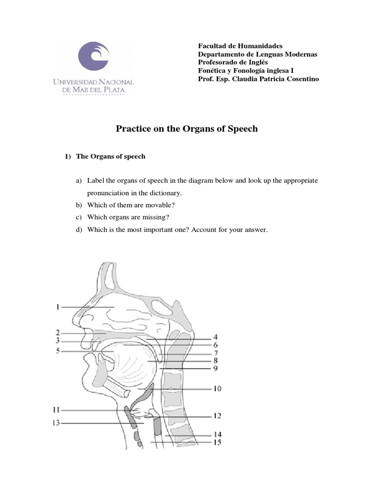 The Organs of speech Practice | PDF | Phonetics | Human Voice