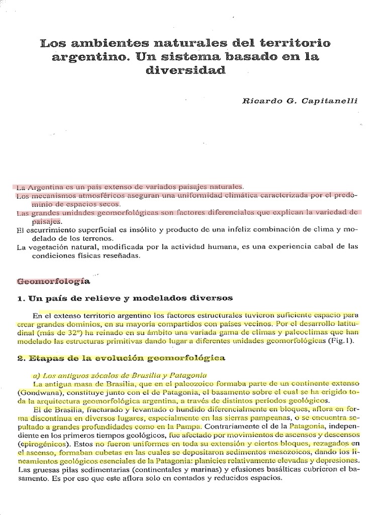 Capitanelli - Capítulo Libro | PDF