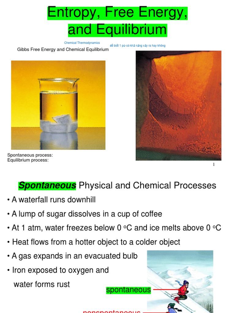 Gibbs Free Energy and Entropy in Thermodynamics | PDF