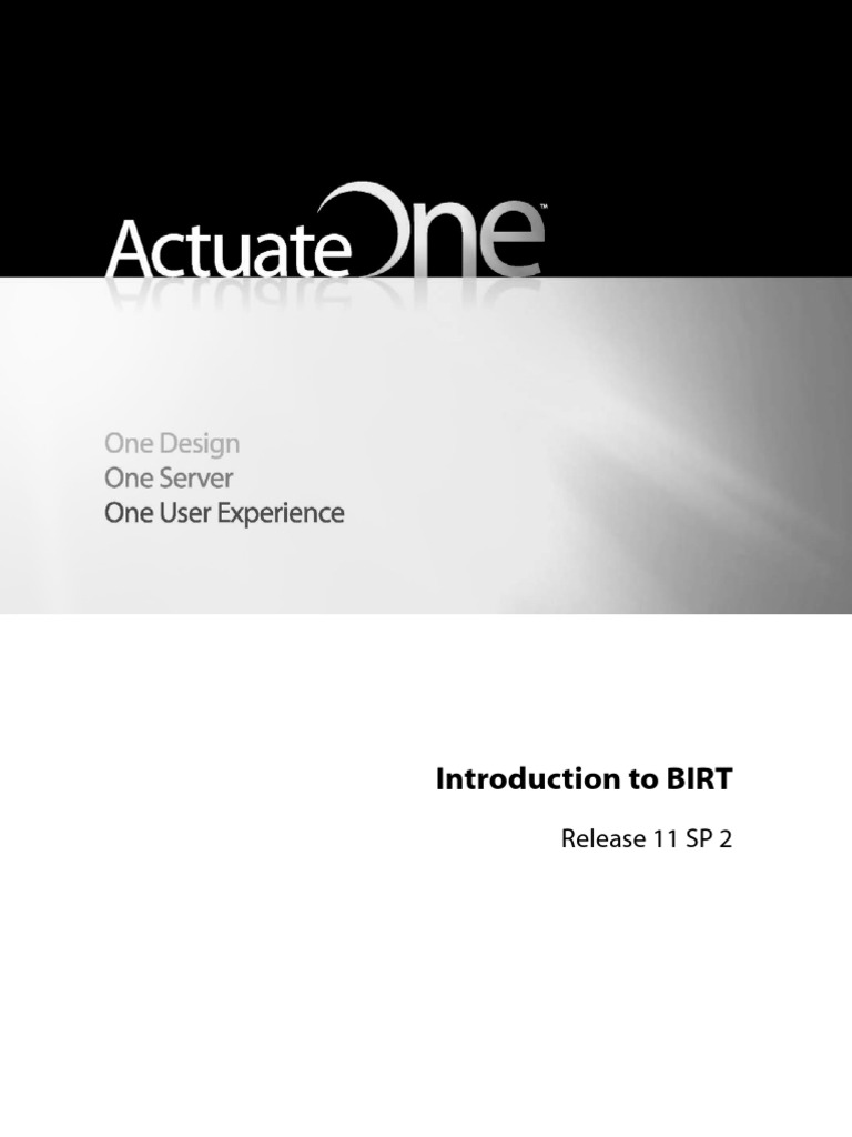 Introduction To Birt Pdf Page Layout Microsoft Windows