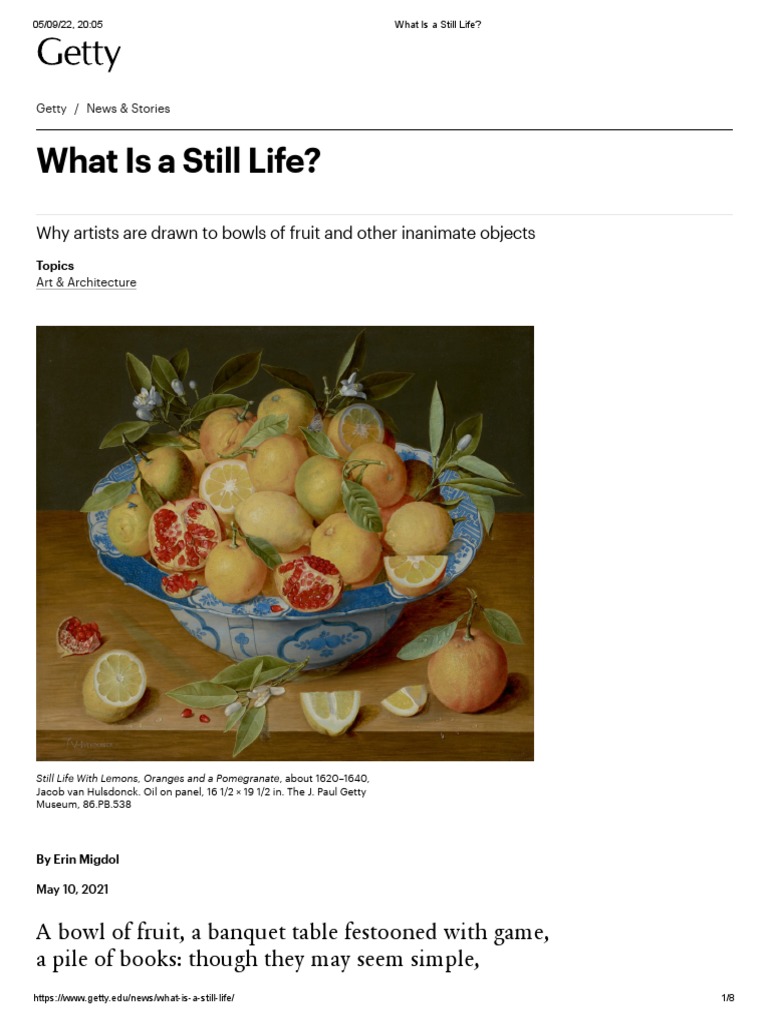 What Is A Still Life | PDF | Still Life | Visual Arts