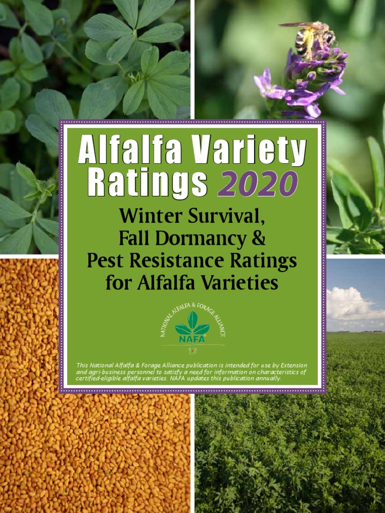 Alfalfa Variety Ratings 2020 | PDF | Alfalfa | Plants