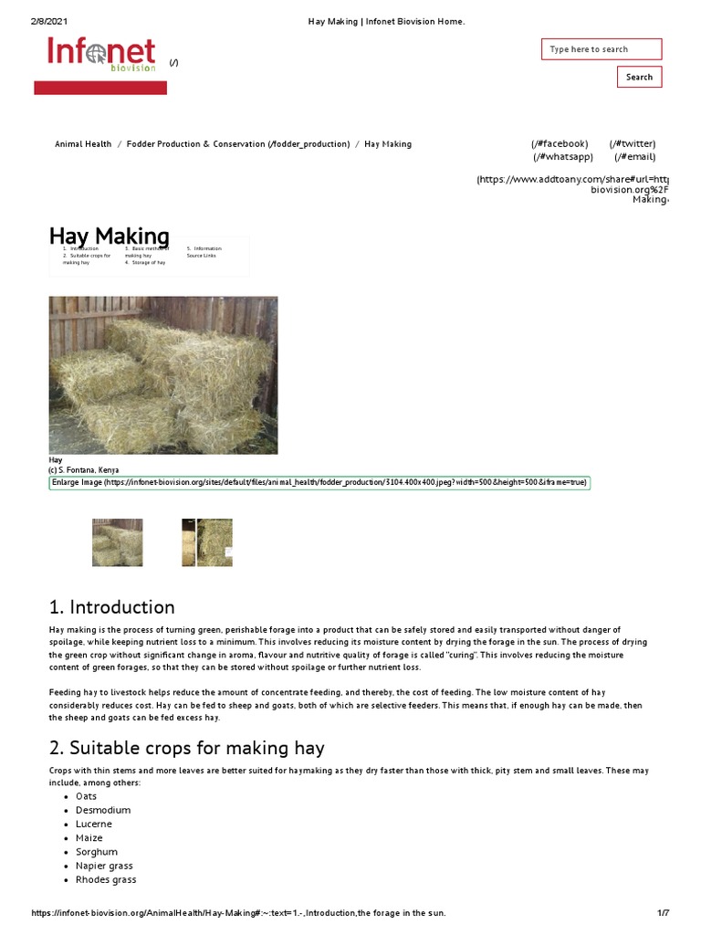 Hay Making - Infonet Biovision Home | PDF | Hay | Agriculture