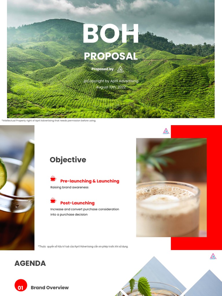 Proposal | PDF | Tea | Advertising