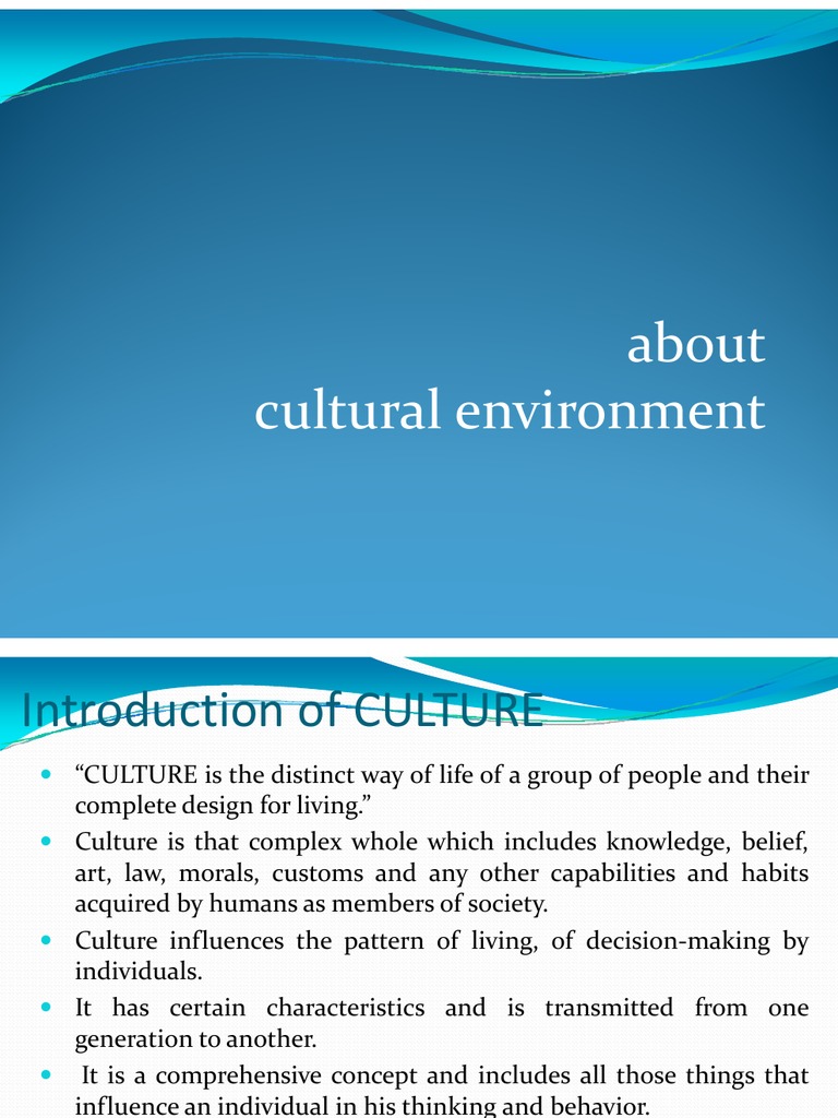 B About LT L I T Cultural Environment | PDF | Norm (Social) | System