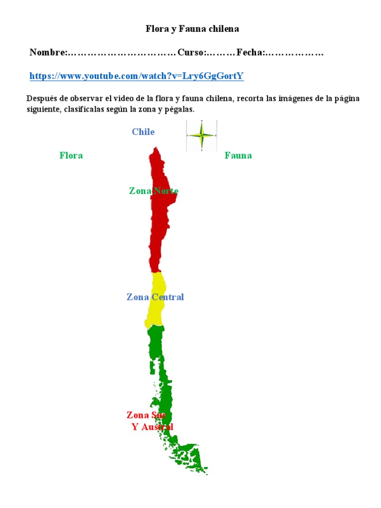 Chile: Flora y Fauna Chilena Nombre: Curso: Fecha | PDF
