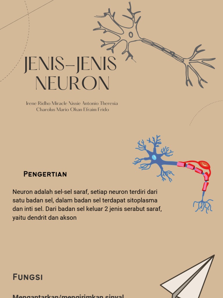 Jenis-jenis Neuron | PDF