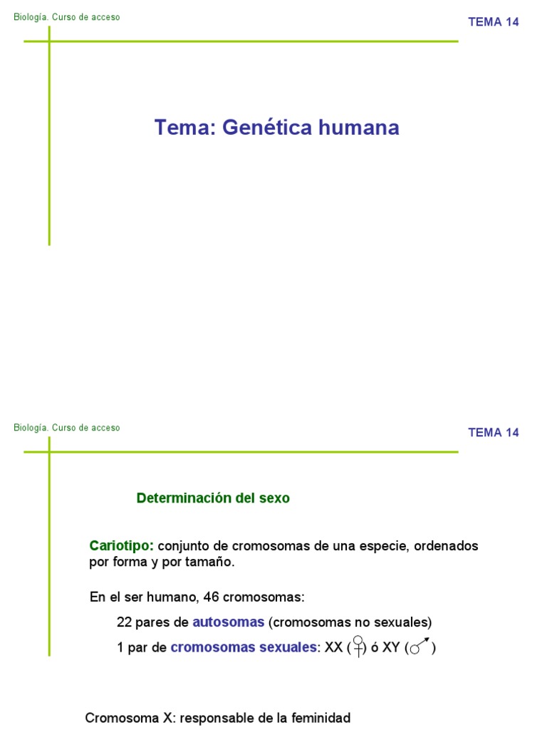 Tema: Genética Humana | PDF | Alelo | Mutación