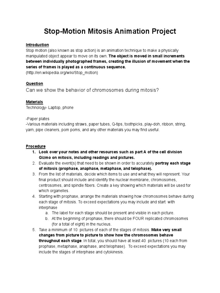 Stop-Motion Mitosis Animation Guide | PDF