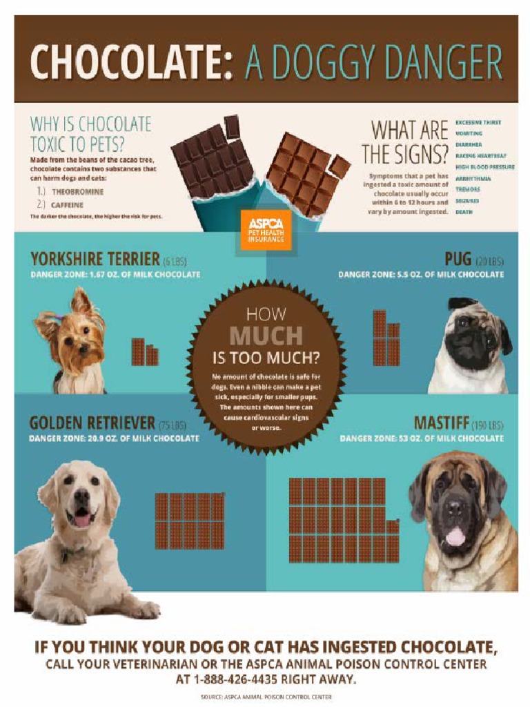 Aspca Dog Chocolate Toxicity Chart | PDF