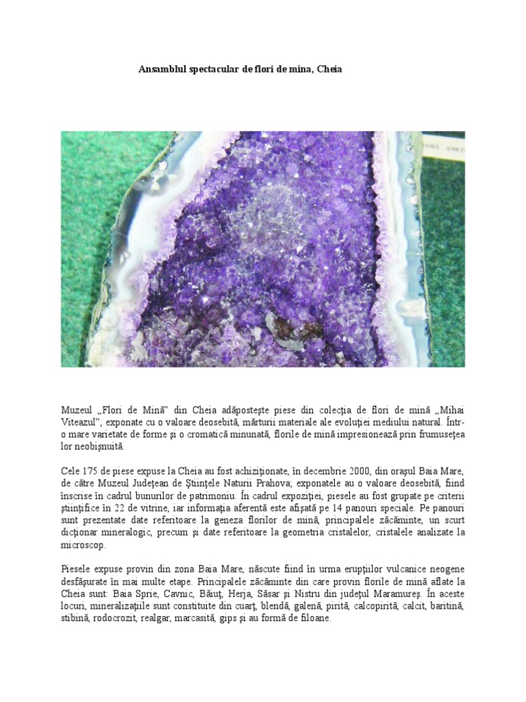 Ansamblul Spectacular de Flori de Mina | PDF