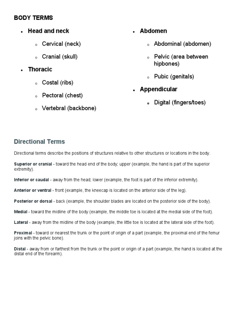 BODY TERMS and Directional Terms | PDF | Anatomical Terms Of Location ...