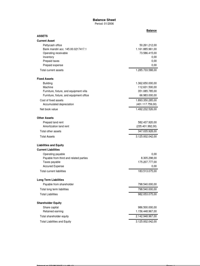Contoh Balance Sheet | PDF