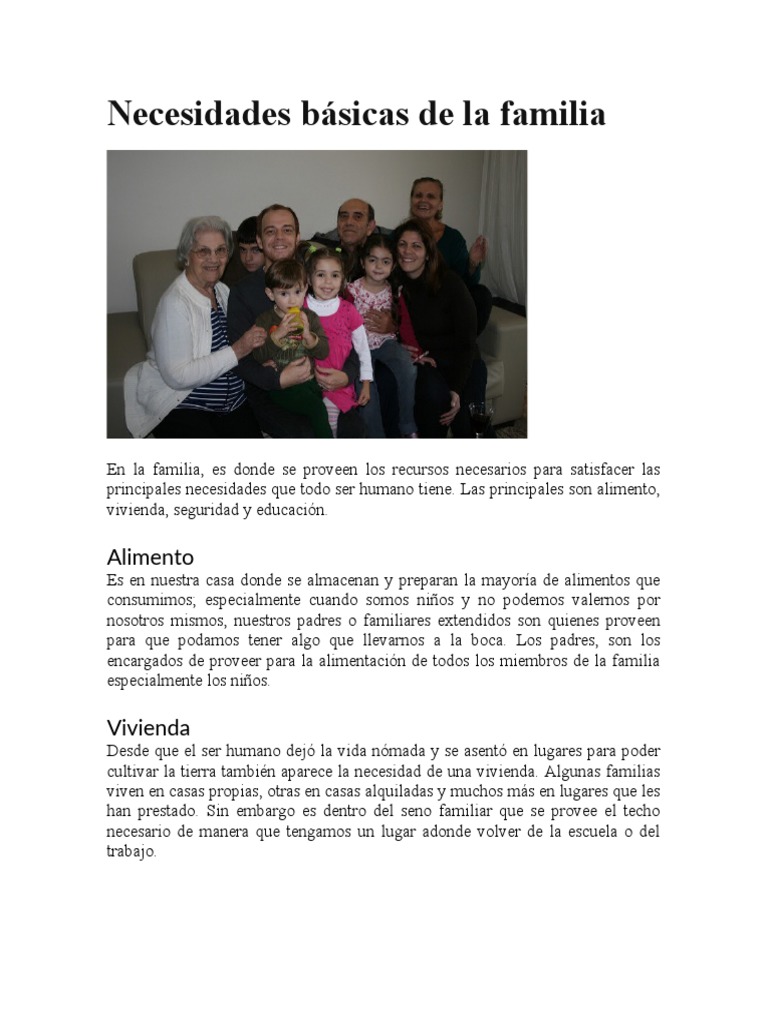 Necesidades Básicas de La Familia | PDF