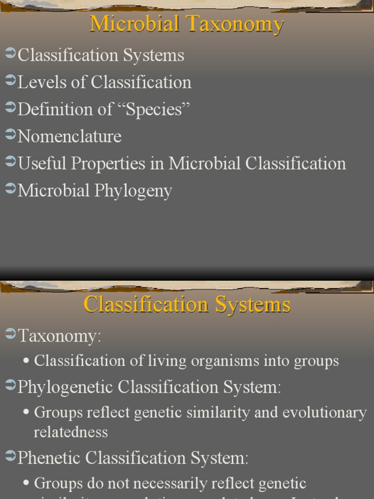 Micro Taxonomy | Download Free PDF | Archaea | Bacteria