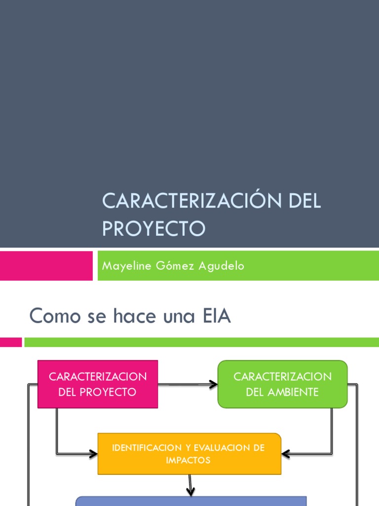 Presentacion EIA2 | PDF | Infraestructura | Entorno natural