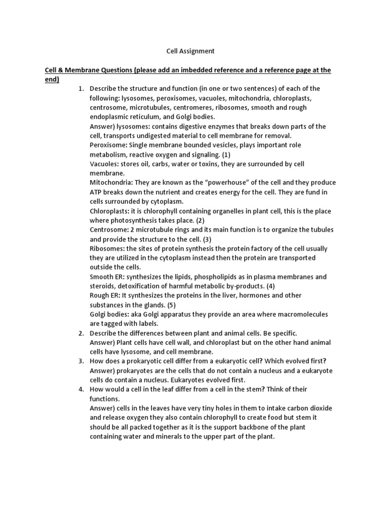 Cell Assignment | PDF | Cell Membrane | Cell (Biology)