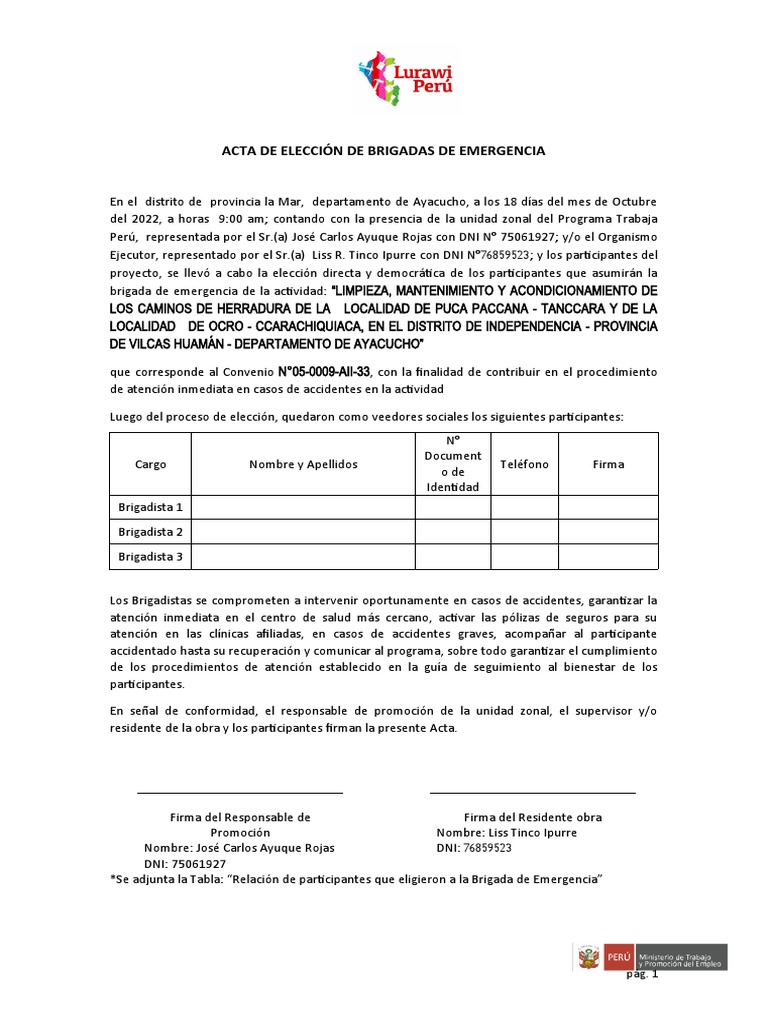 Acta de Brigada de Emergencia | PDF