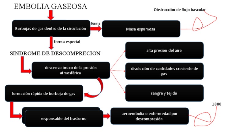 Embolia gaseosa: causas y síntomas | PDF