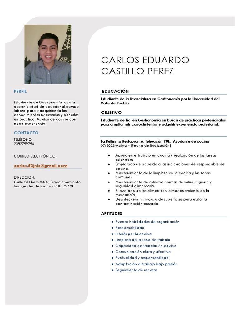 CV Carlos Eduardo Castillo Perez | PDF | Seguridad alimenticia | Cocina