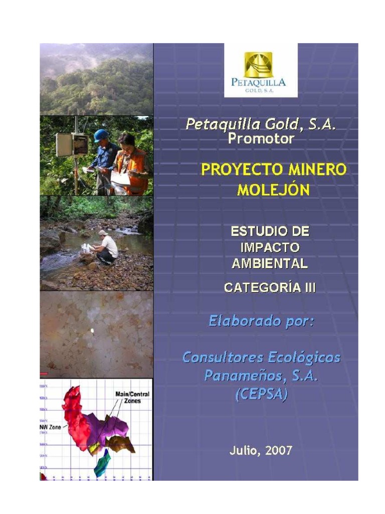 EIA Proyecto Minero Molejon | Descargar gratis PDF | Ciencias de la ...
