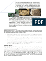 Buri Fiber - Nature and Uses | PDF | Textiles | Trees