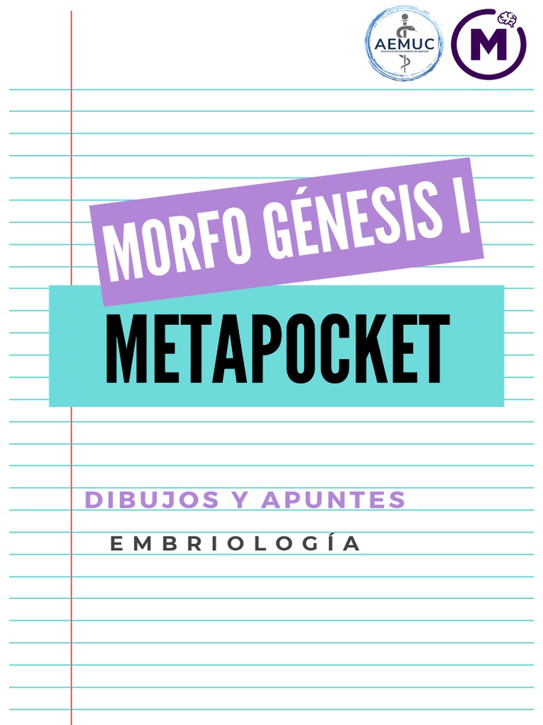 Morfo Génesis I | PDF | Ciclo menstrual | Pubertad