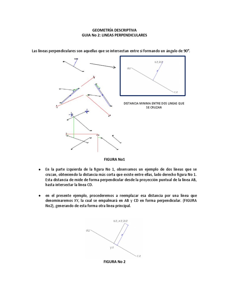 Lineas Perpendiculares - Guia 2 | PDF | Perpendicular | Geometría