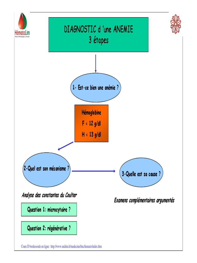 Anemie DP | PDF | Anémie | Hémoglobine