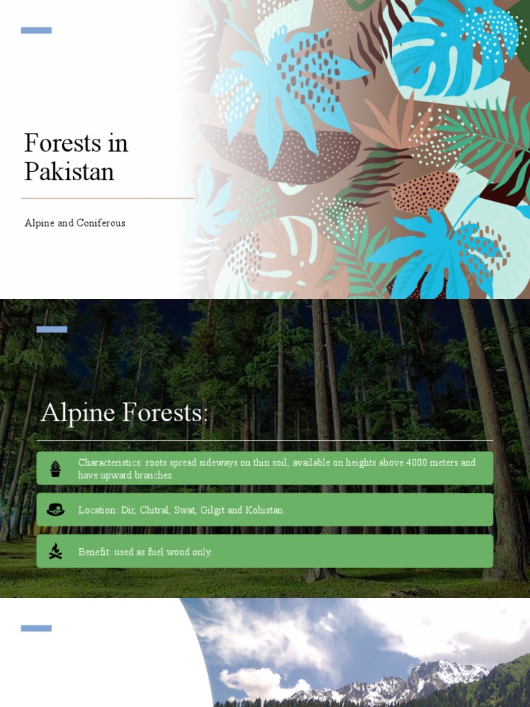 GEO Assignment | PDF