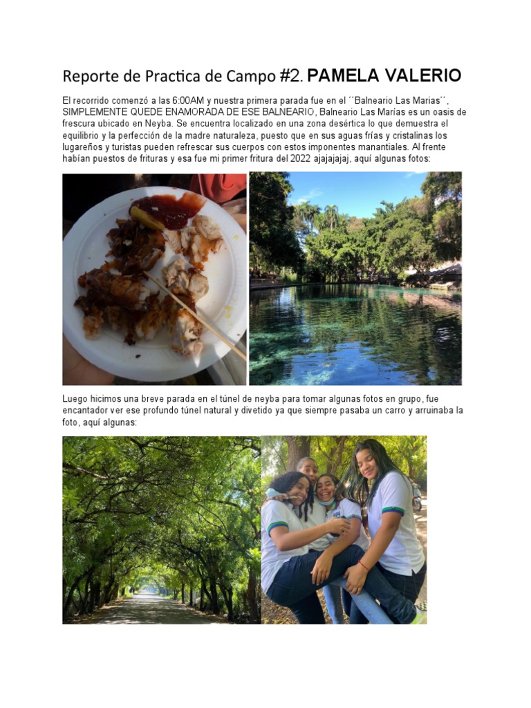 Reporte de Practica de CampO | PDF