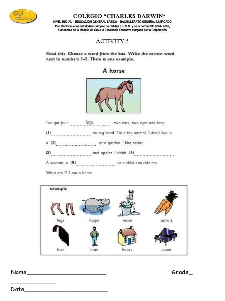 3a Cambridge Activity 5 | PDF